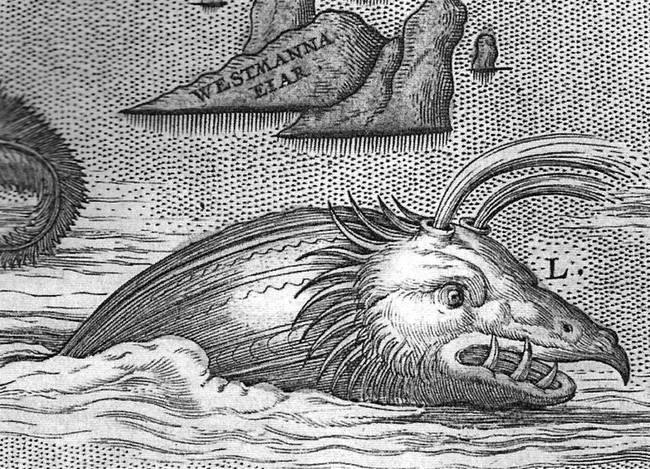 The Stories Behind 13 Sea Monsters Commonly Found On Old Pirate Maps ...