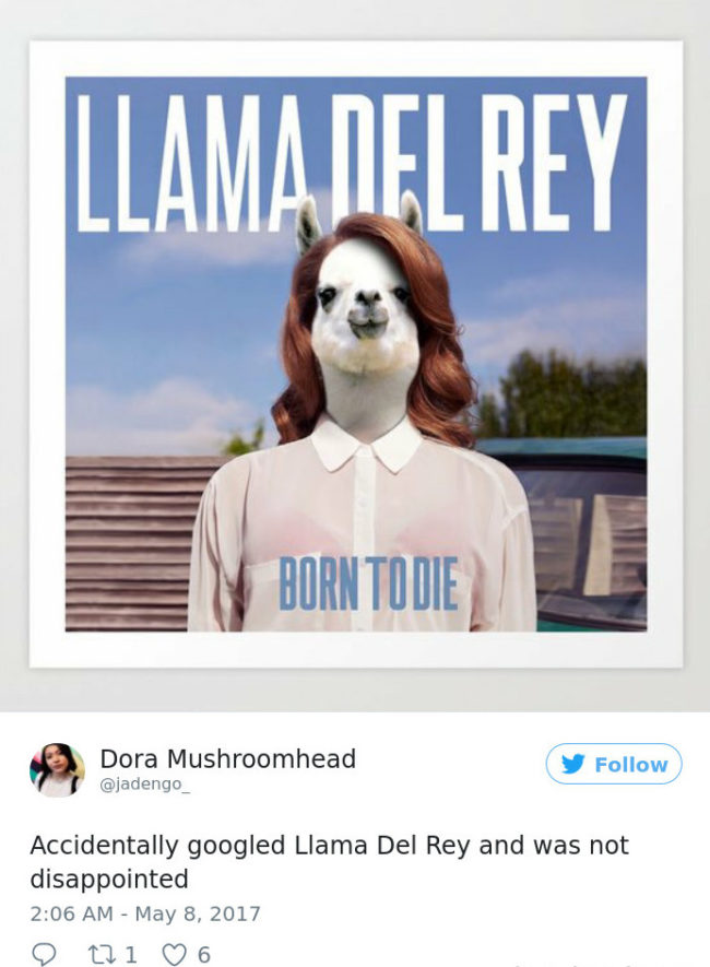 25 Hilarious Google Mistakes That Led To The Most Epic Results Ever ...